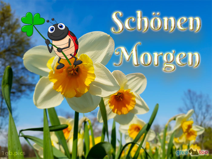 Guten Morgen Bilder, Gästebuchbilder, GB Pics | 1gb.pics